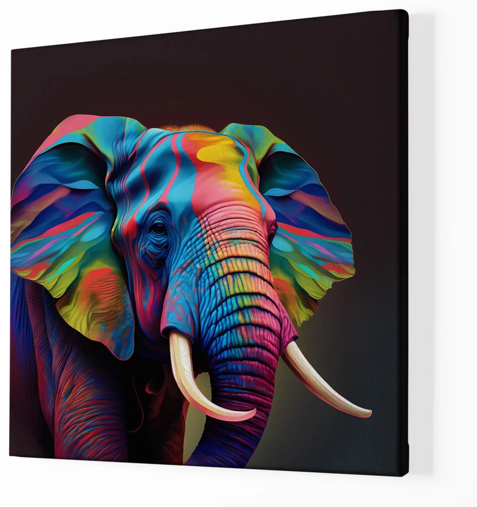 Obraz na plátně - Barevný slon FeelHappy.cz Velikost obrazu: 120 x 120 cm