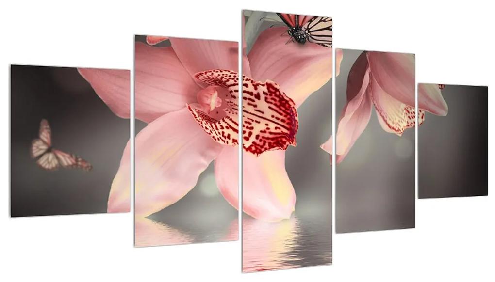 Obraz květů a motýla (150x80 cm)