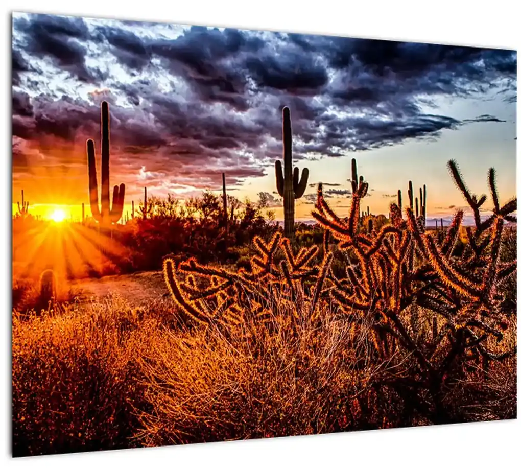 Obraz - Zlatá hodinka pouště (70x50 cm) | BIANO