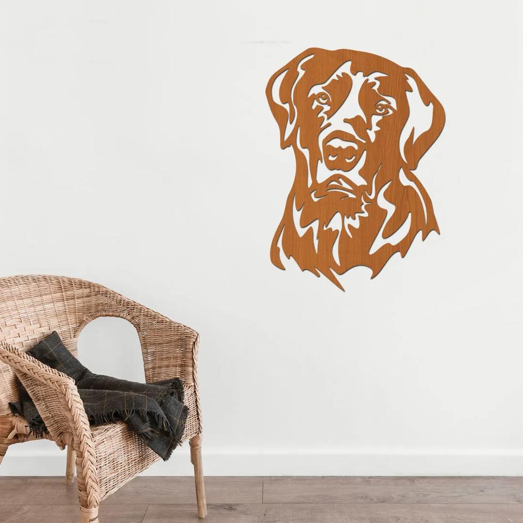 dřevo života Dřevěná dekorace psa Labrador Rozměry (cm): 22x30, Barevný vzor: Bílá