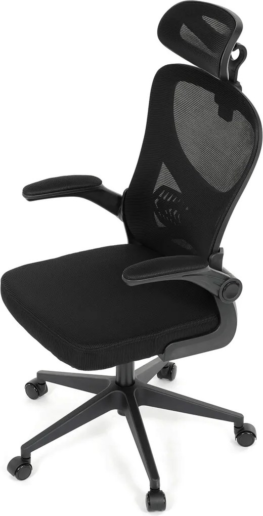 Ergonomická kancelářská židle ALEXANDRE - černá síťovina