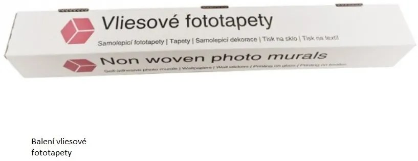 MP-2-0036 Vliesová obrazová panoramatická fototapeta Bílý koridor, velikost 375 x 150 cm