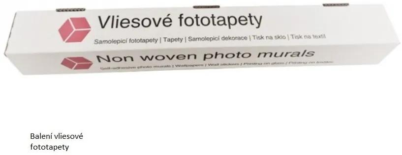 MP-2-0064 Vliesová obrazová panoramatická fototapeta Crocuses at Spring, velikost 375 x 150 cm