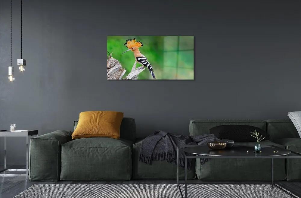 Obraz na skle Strom barevný papoušek 100x50 cm