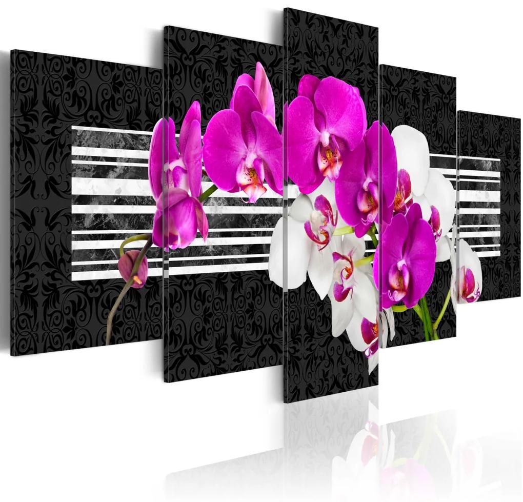 Obraz - Modest orchids