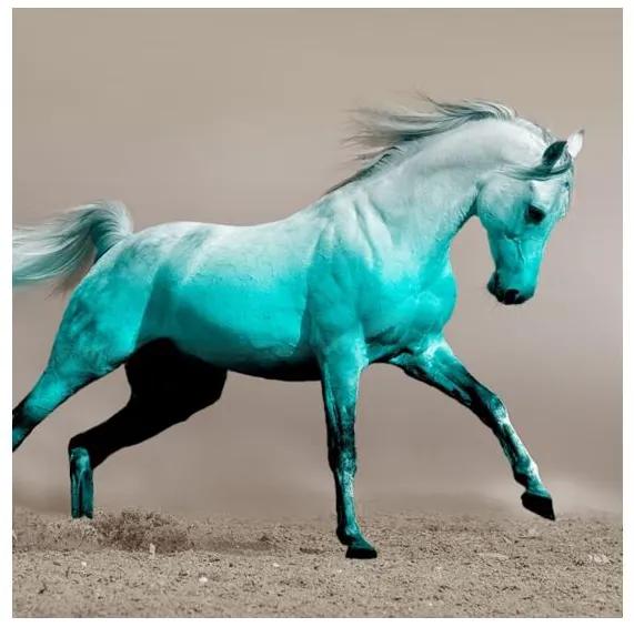 Obraz tyrkysového koně  (50x50 cm), 40 dalších rozměrů