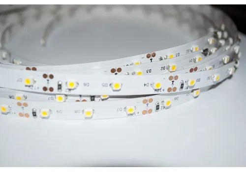 ECOLIGHT LED pásek - SMD 2835 - 5m - 60LED/m - 4,8W/m - zelený - IP20 - s konektorem