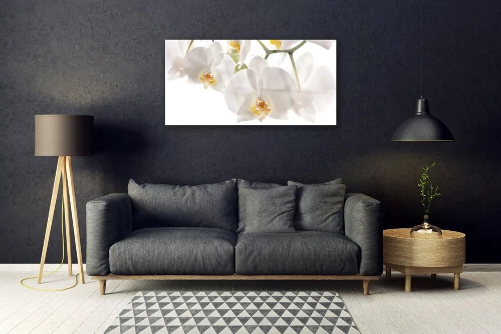 Plexisklo-obraz Orchidej Květiny Příroda 100x50 cm