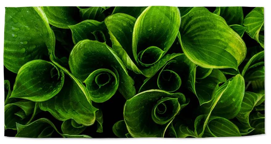 Ručník SABLIO - Zelené listy 30x50 cm