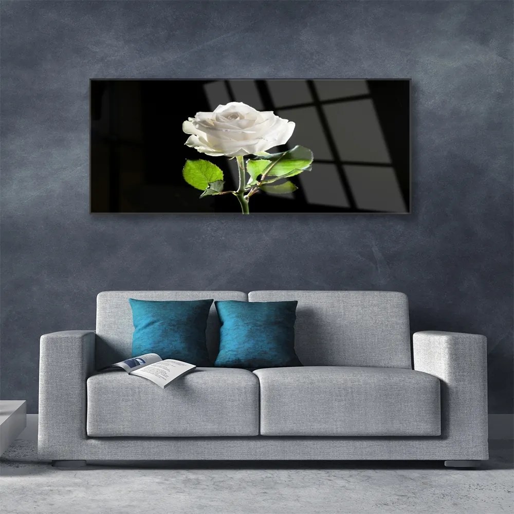 akrylový obraz Růže Květ Rostlina 125x50 cm