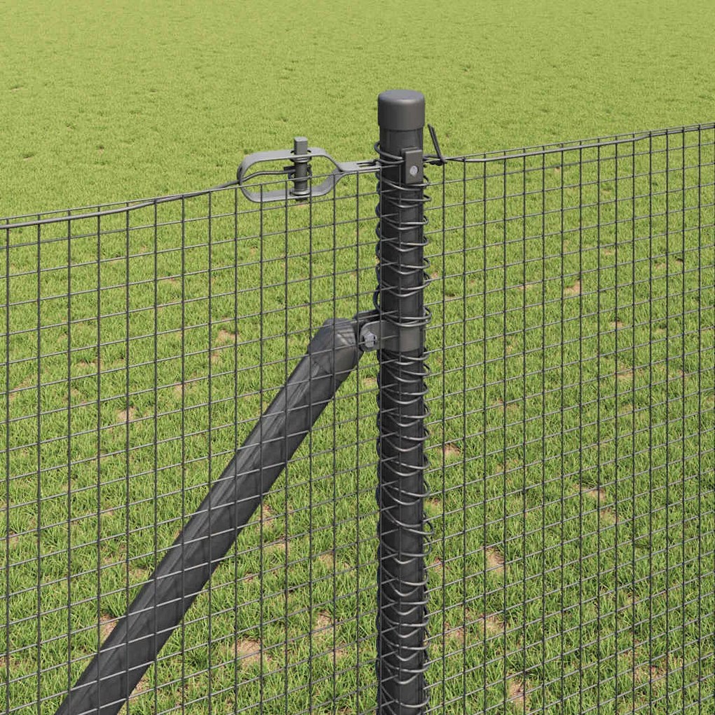 Svařované drátěné ploty s hroty 50 x 1,2 m Ocel potažená PVC 3352238