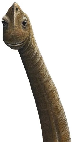 Samolepky dinosauři. Obrázek Bronchiosaurus