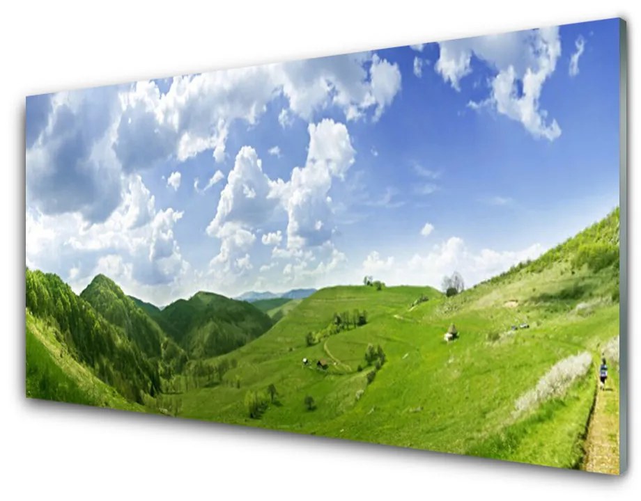 akrylový obraz Hora Louka Příroda 140x70 cm