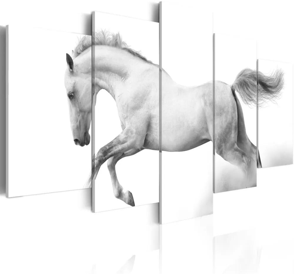 Obraz na plátně Bimago - Kůň : svoboda a síla 100x50 cm