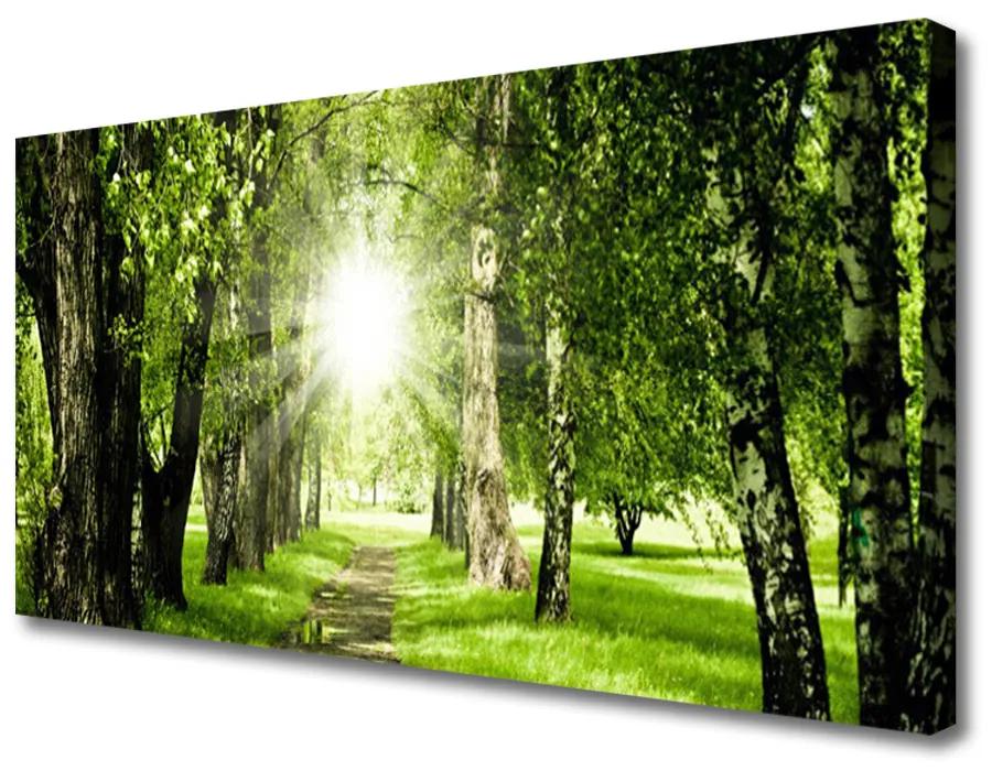 Obraz na plátně Les Slunce Stezka Příroda 100x50 cm