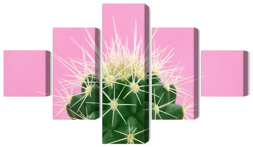 Vícedílný obraz Kaktus Na Růžovém Pozadí Nedostatek Nedostatek Plátno Canvas 150x90