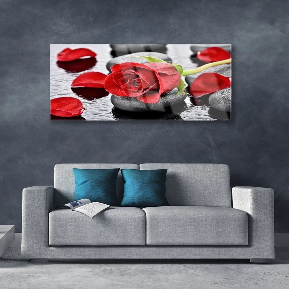 Plexisklo-obraz Růže Květ Kameny Zen 125x50 cm