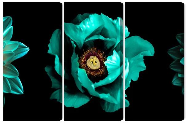 Vícedílný obraz Tyrkysové Květy Na Černém Pozadí Nedostatek Nedostatek Plátno Canvas 180x120