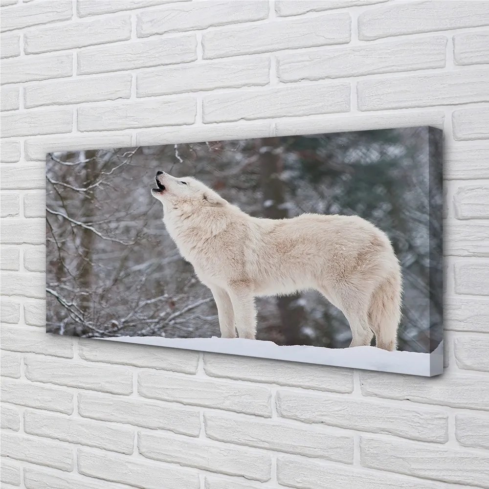Obrazy na plátně Vlk v zimě lese 140x70 cm