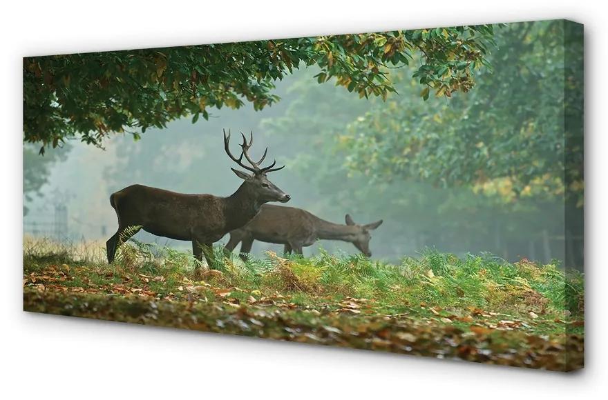 Obrazy na plátně Jelena na podzim les 100x50 cm