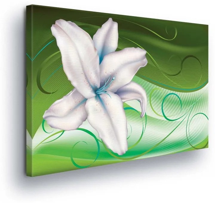 GLIX Obraz na plátně - Květ Lilie na Zeleném Podkladu 100x75 cm