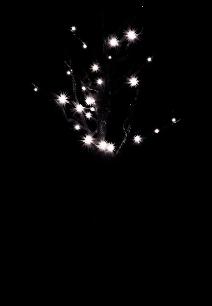 Dekorace černý svítící stromek Tree Bare Led glitt - 53*48*92 cm