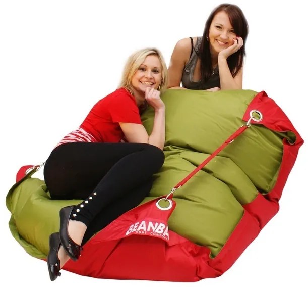 BeanBag Sedací pytel 189x140 duo scarlet rose - green frog