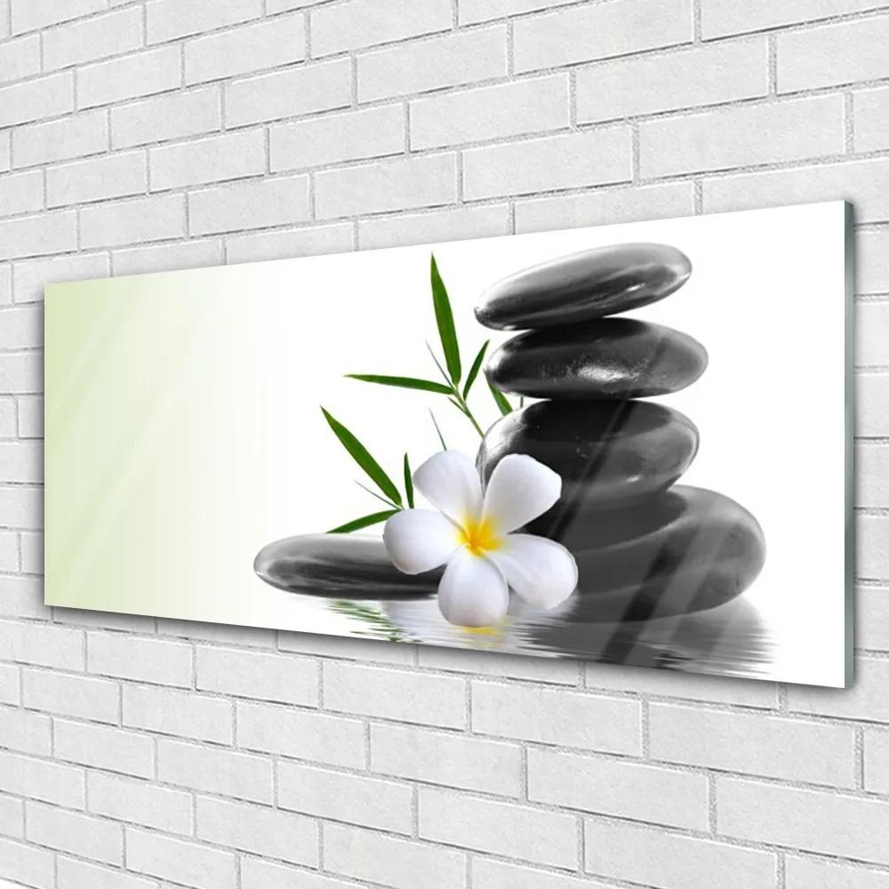 akrylový obraz Květ Kameny Umění 125x50 cm