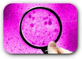 Antibakteriální matrace LATEX 24 cm 120 x 200 cm VČETNĚ CHRÁNIČE MATRACE Ochrana matrace: BEZ chrániče matrace
