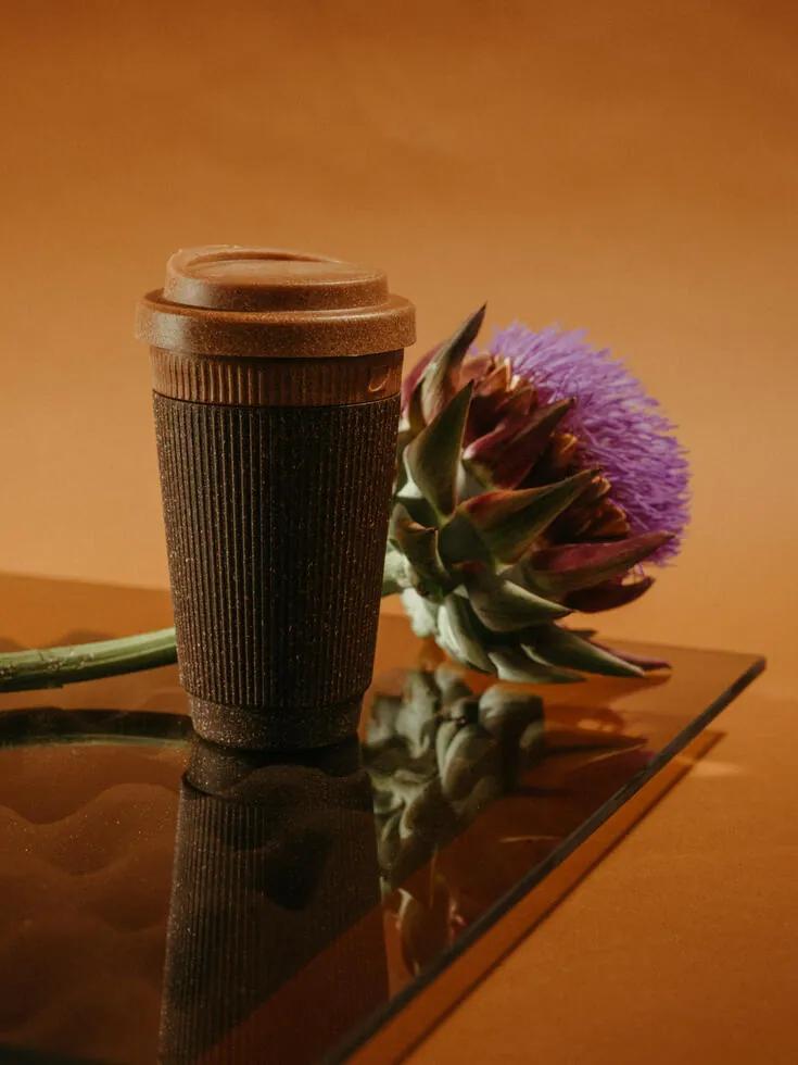Weducer Cup Essential + Cap Set - Nutmeg