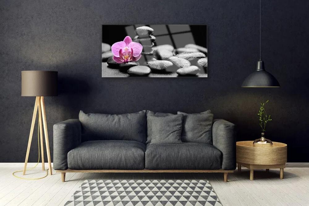 Obraz na skle Květ Kameny Umění 125x50 cm