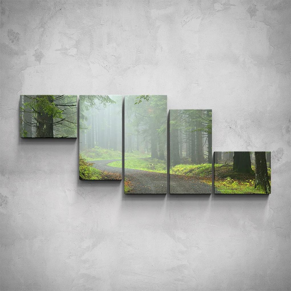5-dílný obraz - Mlha v lese - PopyDesign