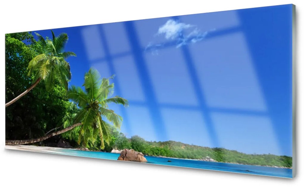 Plexisklo obraz Palma Stromy Pláž Krajina