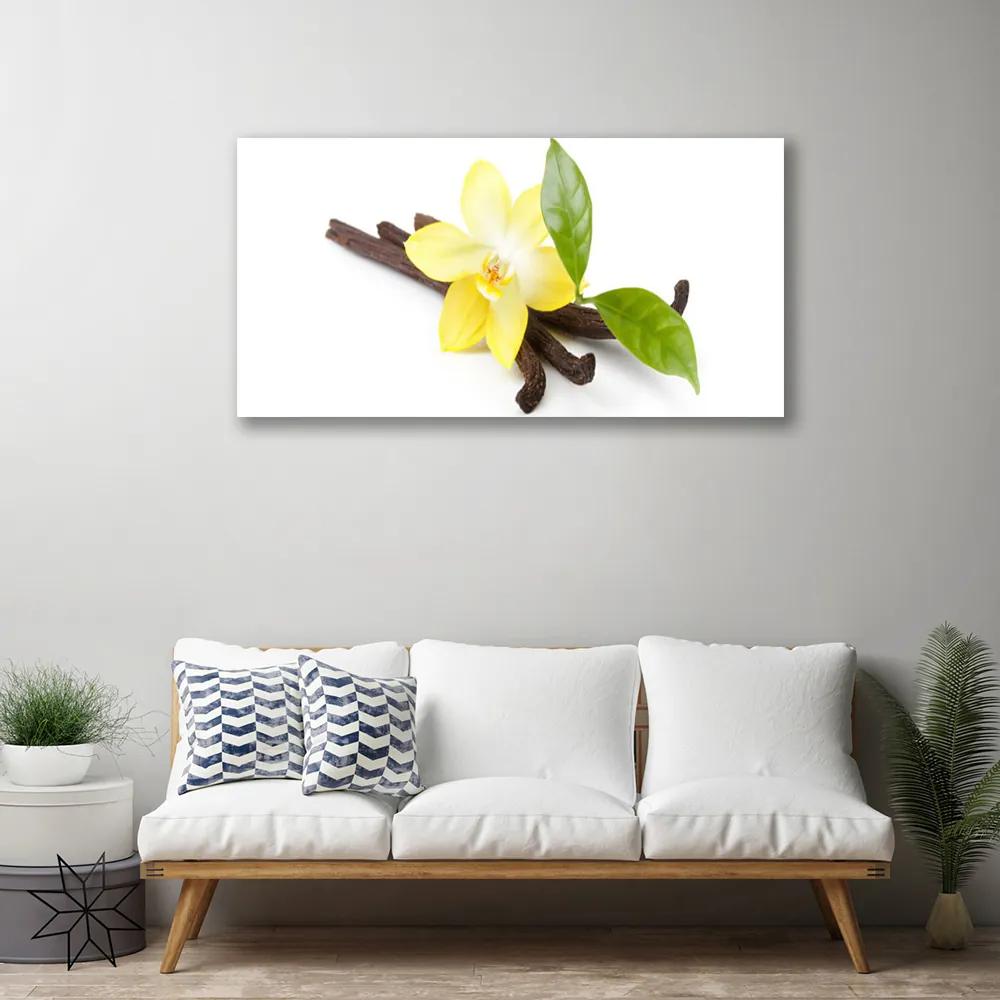 Obraz na plátně Vanilka Listy Rostlina 140x70 cm