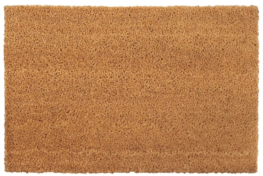Rohožka před dveře přírodní 50 x 80 cm kokosové vlákno 155561