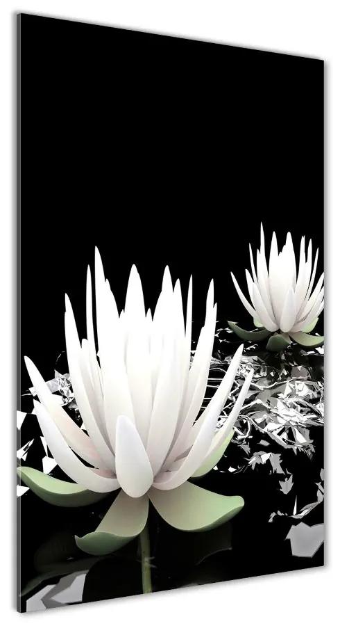 Wallmuralia Vertikální Foto obraz sklo tvrzené Květ lotosu 50x100