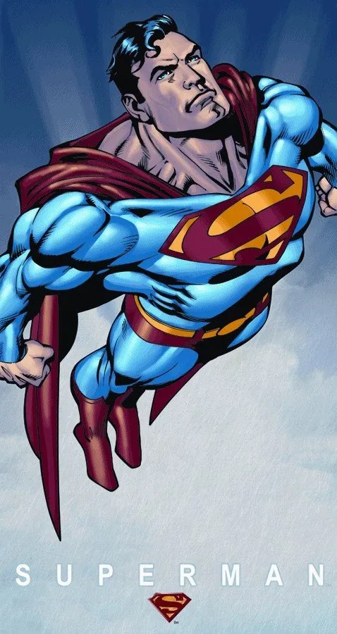 Plechová cedule: Superman - 40x22 cm