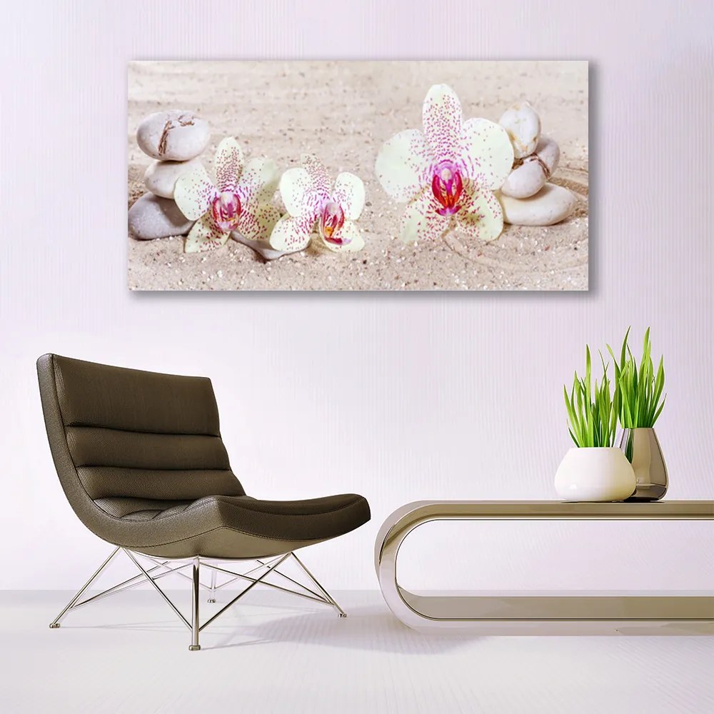 Plexisklo-obraz Orchidej Kameny Zen Písek 120x60 cm