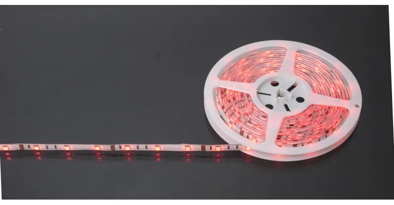 LED BAND 38991