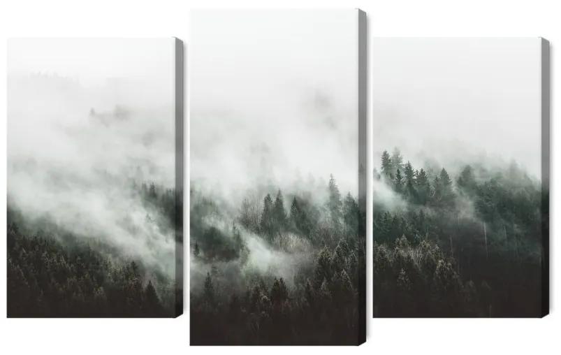 Vícedílný obraz Zamlžená 3D Lesní Krajina Nedostatek Nedostatek Přírodní plátno 180x120