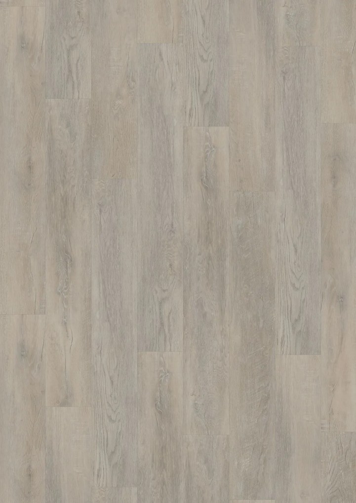 Oneflor, Vinylová podlaha lepená ECO 55 055 Old Oak Light Breige - dub, 1219,2 x 184,1 mm