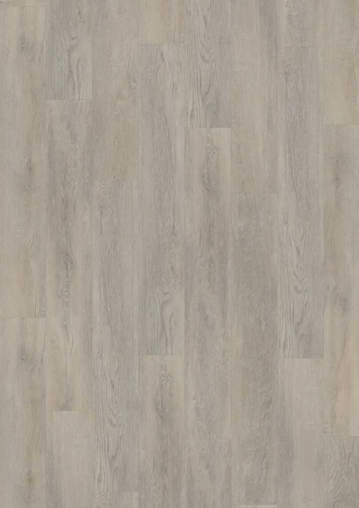 Oneflor Vinylová podlaha lepená ECO 55 055 Old Oak Light Breige  - dub - Lepená podlaha