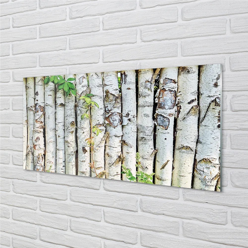 akrylový obraz březové listí 100x50 cm