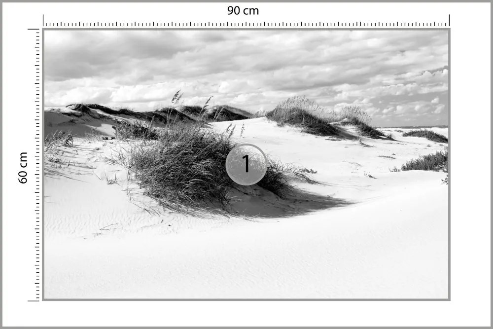 Fototapeta Odpoledne V Dunes Black &amp;amp; White Hladký vinyl 270x180