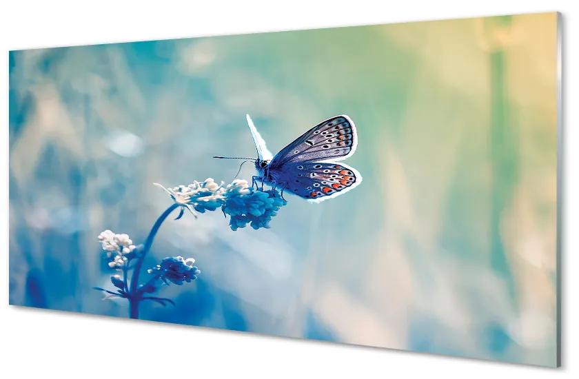 akrylový obraz barevný motýl 140x70 cm