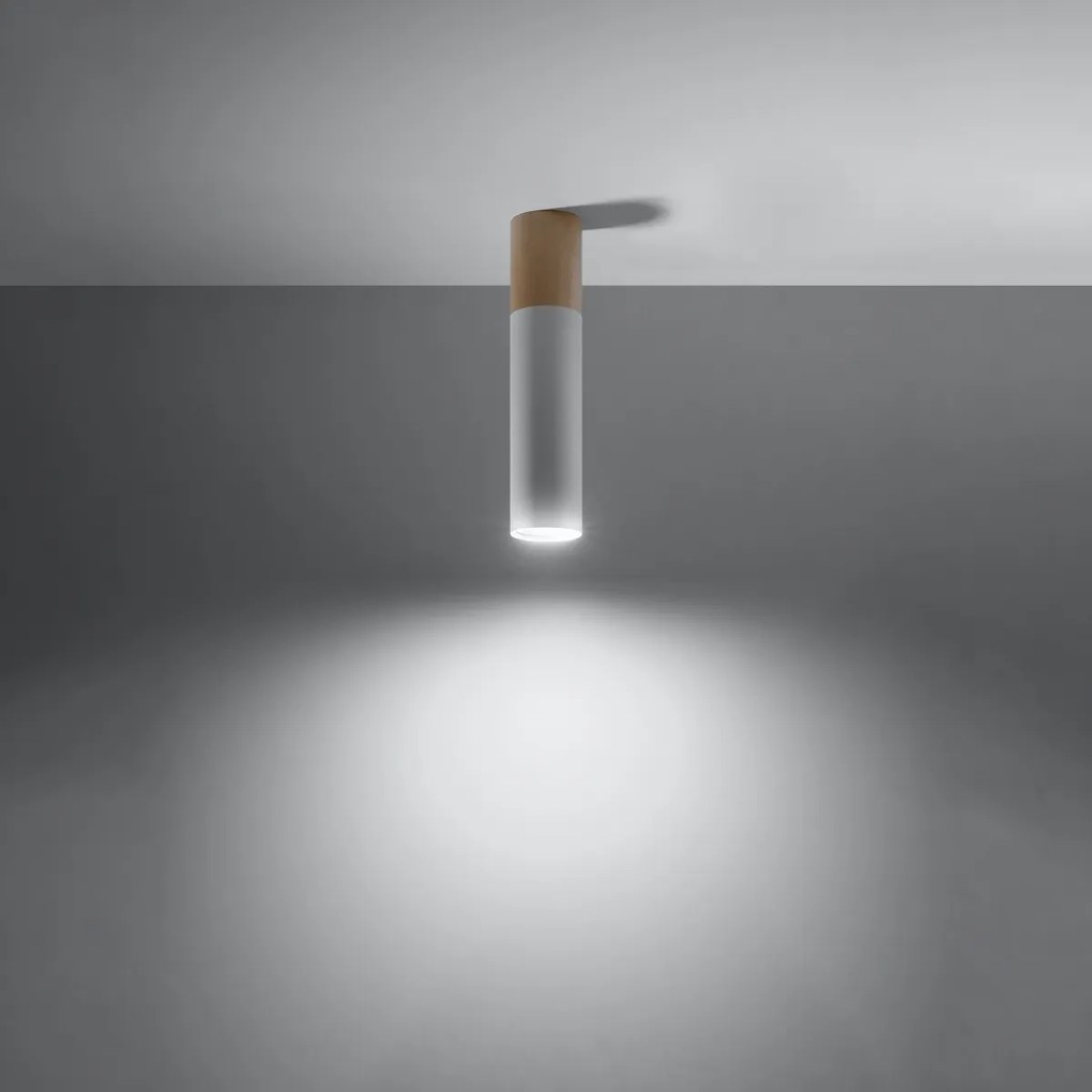Sollux Lighting Stropní svítidlo PABLO bílé