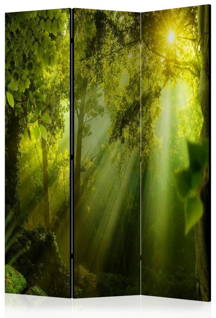 Paraván -  In a Secret Forest II [Room Dividers] 135x172