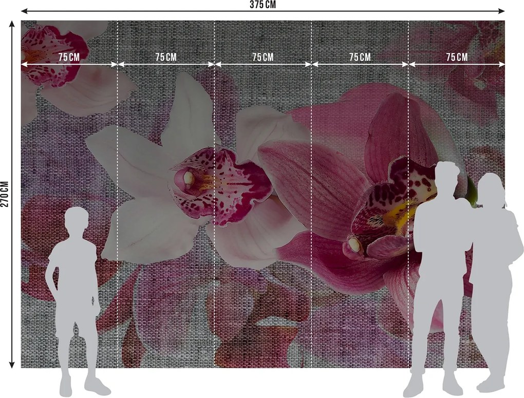 Fototapeta na míru Smyslné Orchideje | Vliesová fototapeta na zed' | DFTNXXL1148
