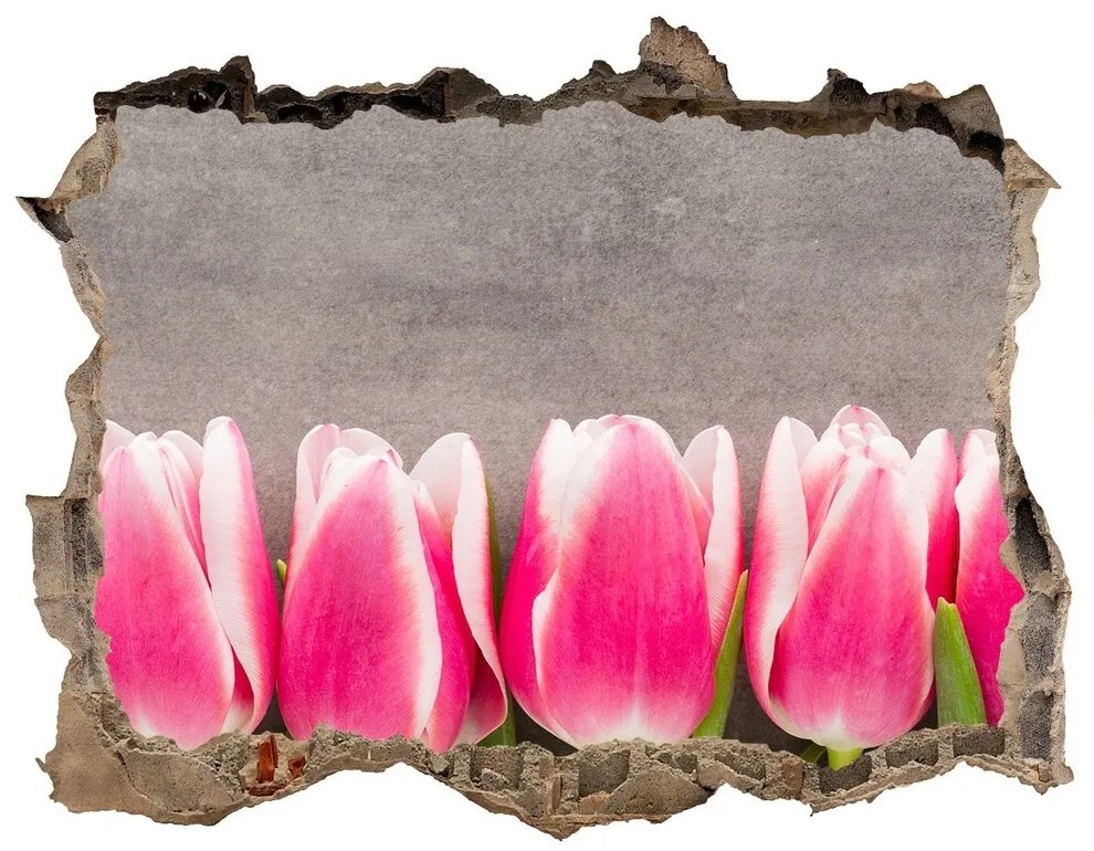 Wallmuralia Samolepící nálepka na zeď Růžové tulipány 95x64 cm