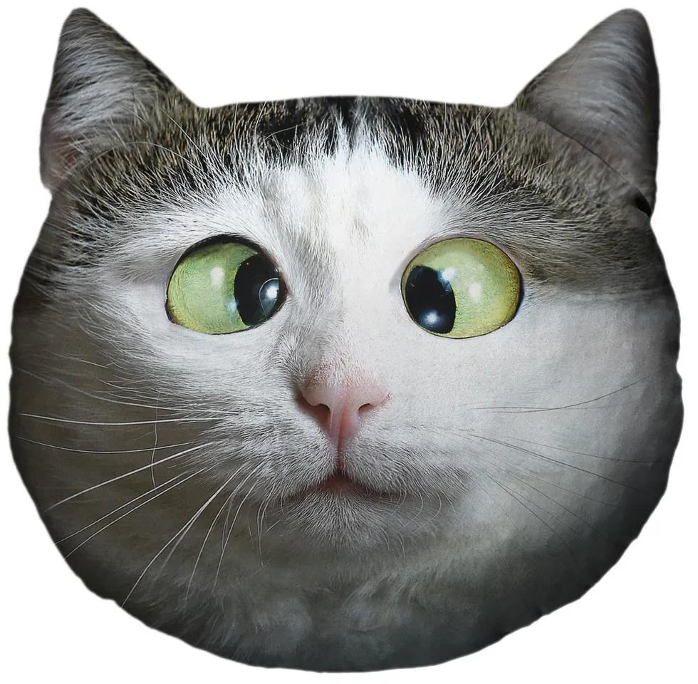 Kočičí hlava – Vykulvoč (Velikost kočičí hlavy: L)